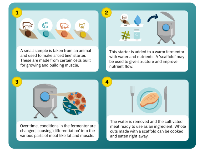 Cultivated meat - GFI Europe