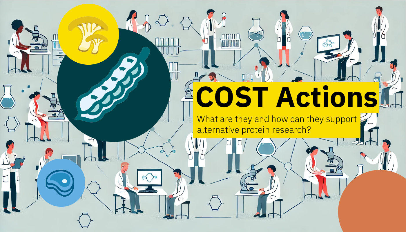 The network effect: How COST Action research networks can kick-start ...