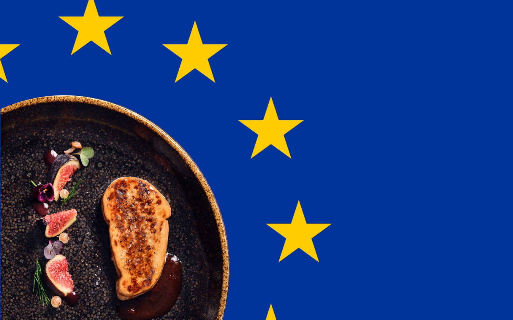 First-ever regulatory submission made for cultivated meat in the EU - GFI Europe