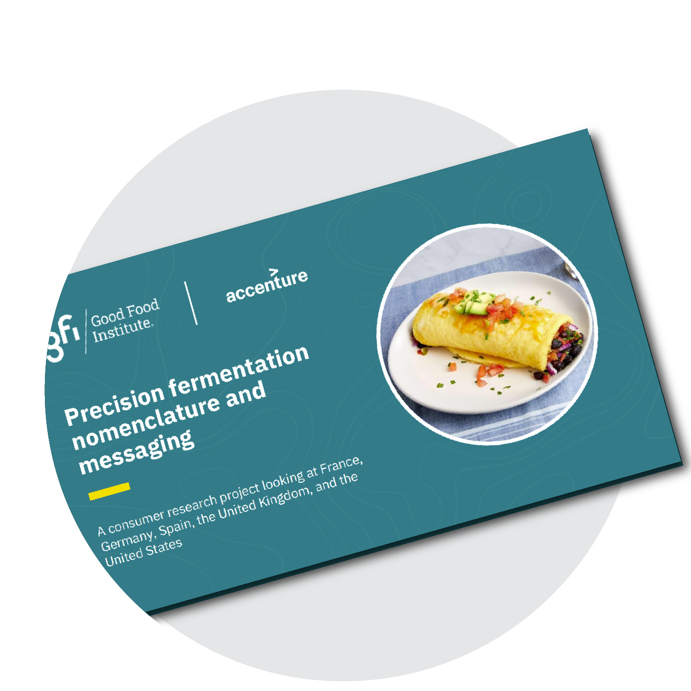 Nomenclature and messaging for precision fermentation: consumer research findings from France ...