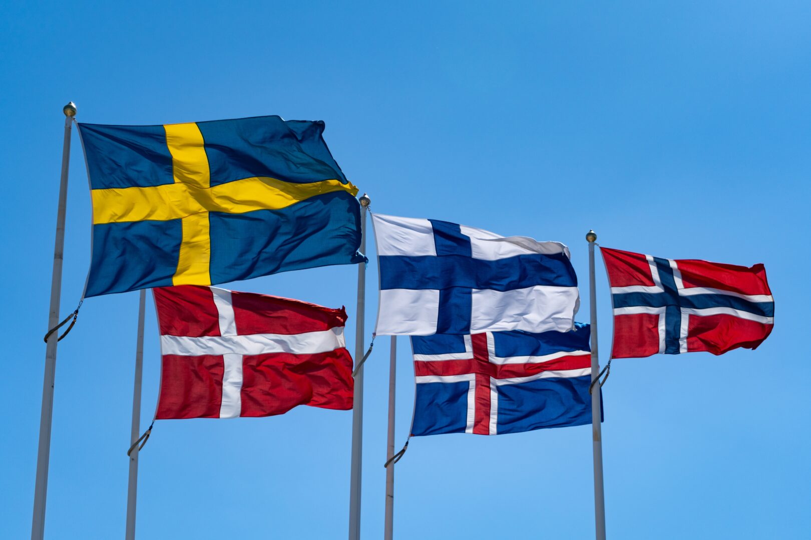 The Nordic alternative protein research ecosystem - GFI Europe